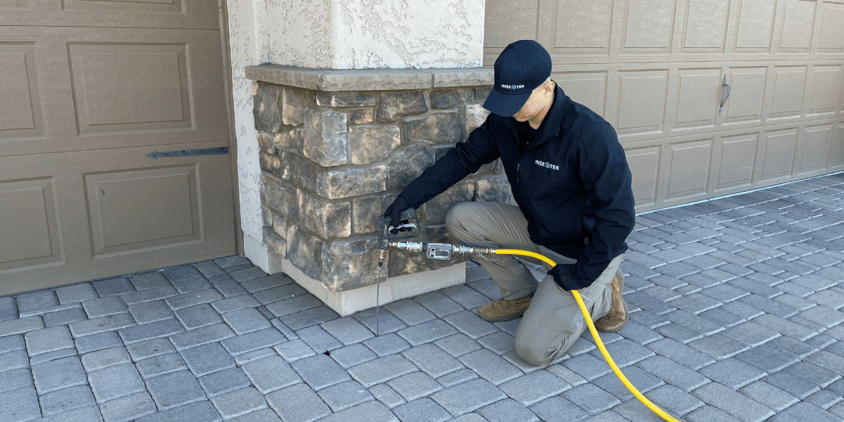 Tick Pest Control in Phoenix, Arizona - Insectek Pest Solutions