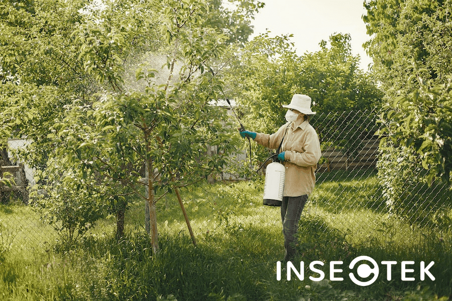 What do Pest Control Companies Use? - Insectek Pest Solutions