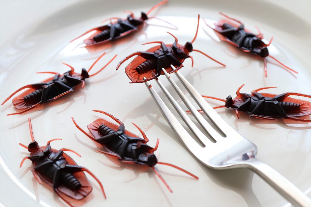 Why is Pest Management Important in a Restaurant? - Insectek Pest Solutions