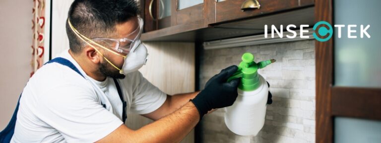 Is Pest Control Safe? - Insectek Pest Solutions